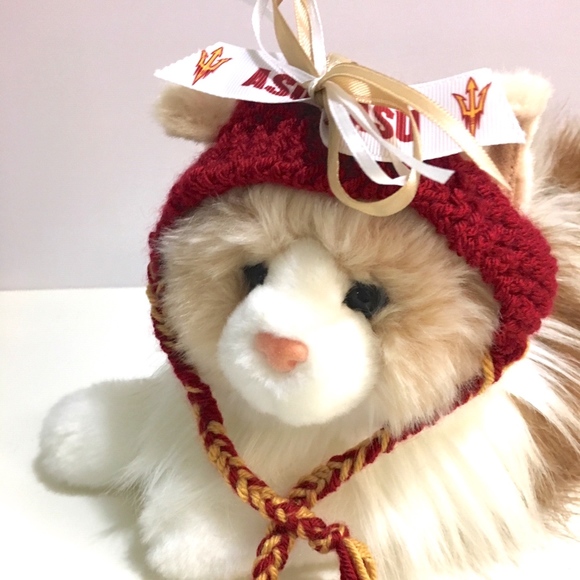 ZZs | Other | Arizona State Univ Sun Devils Asu Cat Hat New | Poshmark